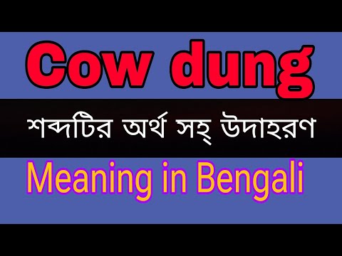 Cow dung meaning in Bengali/Cow dung mane ki