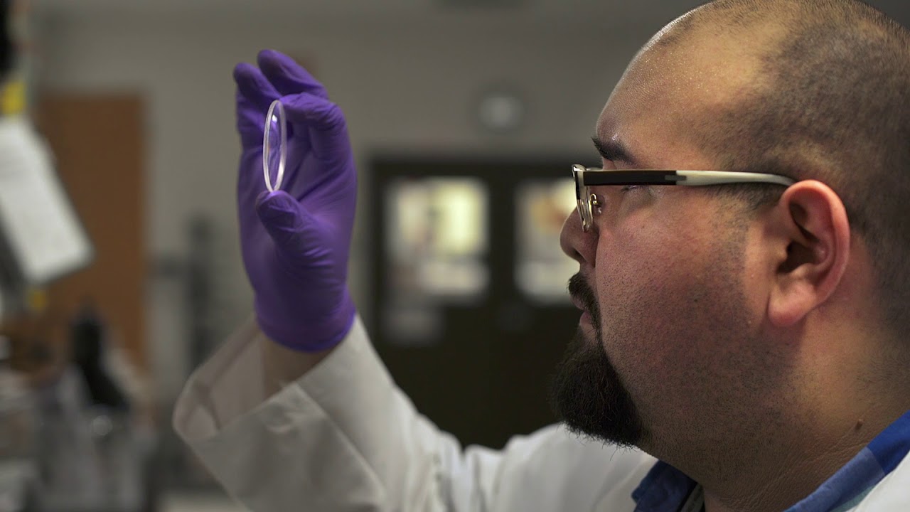 Corporate Video Storytelling - Recruiting Video