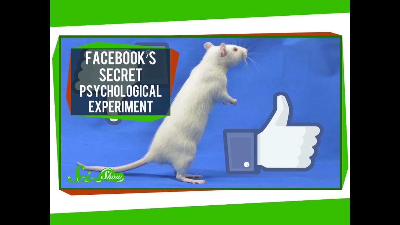 Facebook's Secret Psychological Experiment