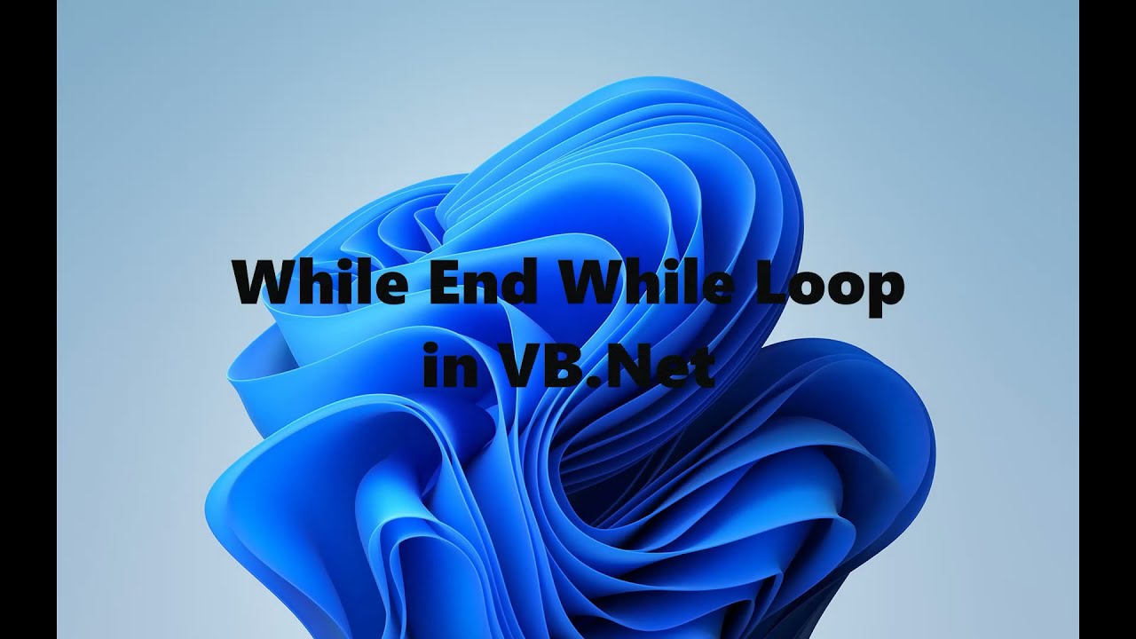 How to use While End, While Loop using VB Net