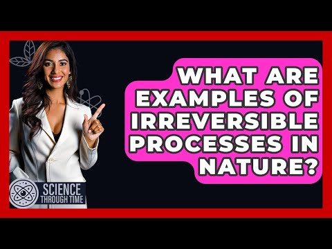 What Are Examples Of Irreversible Processes In Nature? - Science Through Time