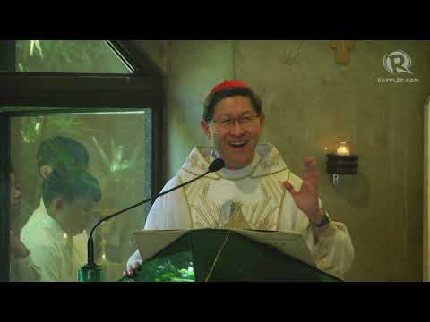 Cardinal Tagle delivers homily on Feast of Our Lady of EDSA