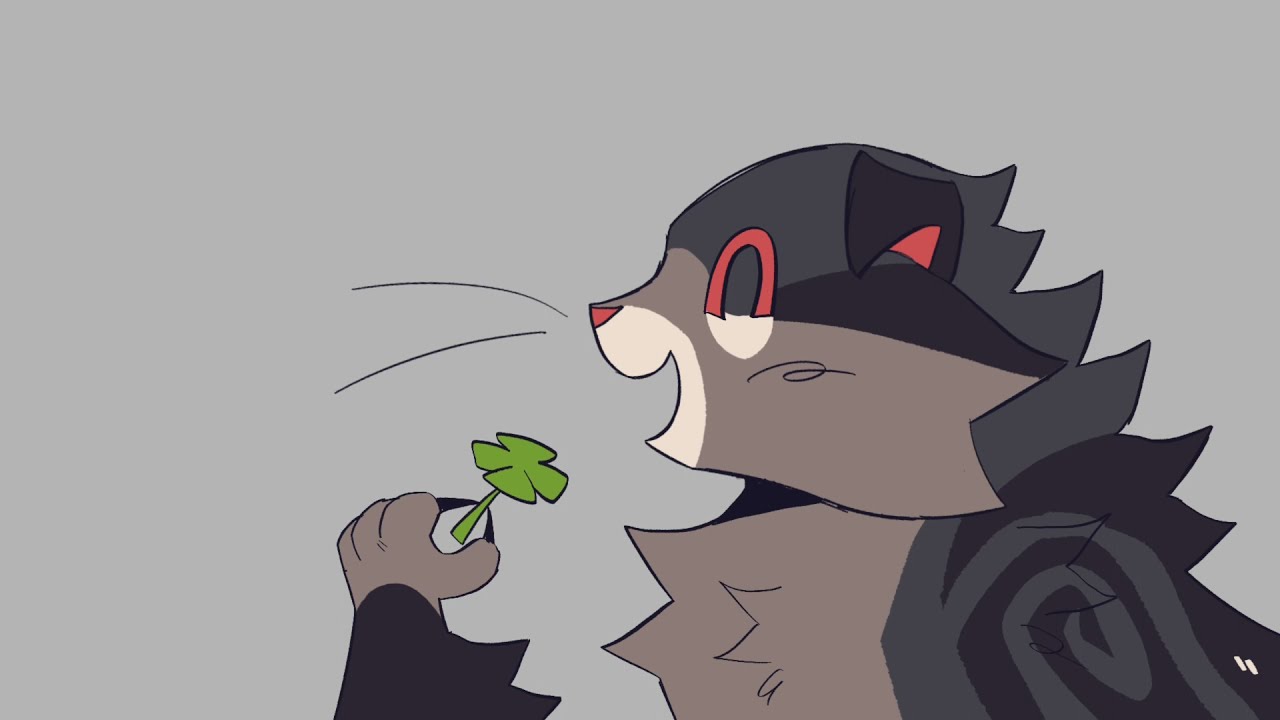 shadowsight finds a four leaf clover