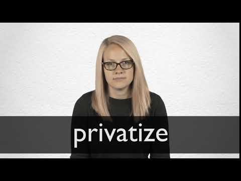 PRIVATIZE - Meaning & Translations | Collins English Dictionary