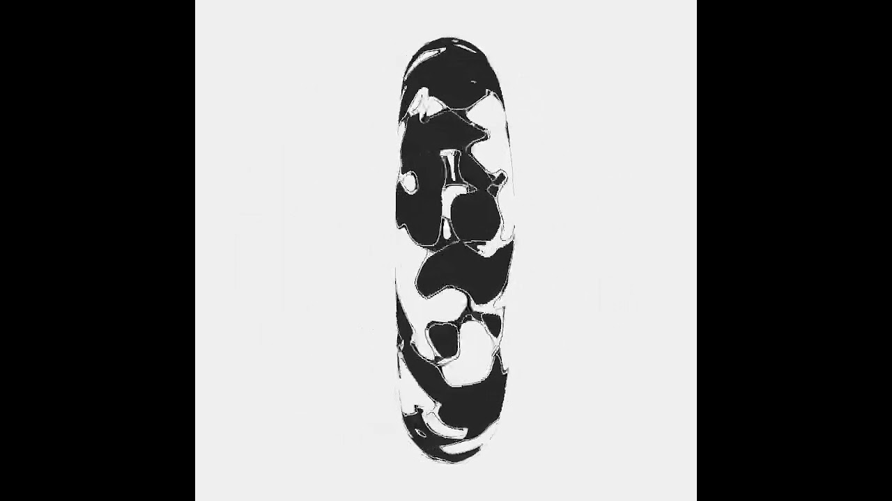 Monochrome torus. #openframeworks #programming #creativecoding