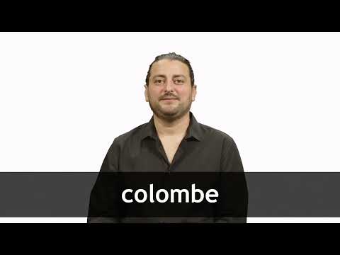 English Translation of “COLOMBE” | Collins French-English Dictionary
