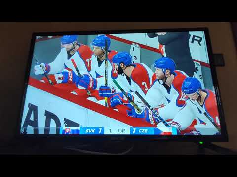 MS v hokeji 2020 Slovensko - Česko