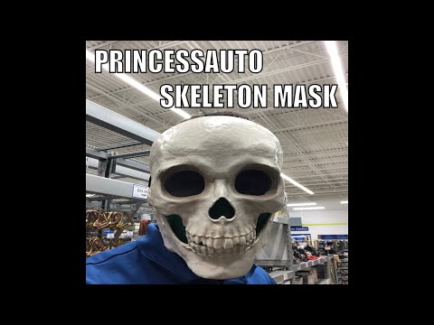 Wearing A ☠️ Skeleton 💀 Mask 😷 At PrincessAuto 👸 Everyone Loved It But I Was Recognized By Staff