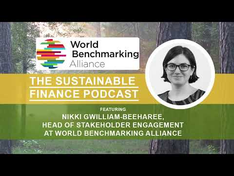 EP 289: Benchmarking Adaptation Strategies in the Global Financial System
