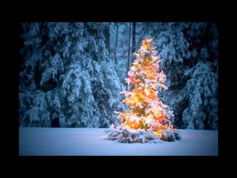 Buy Christmas Tree