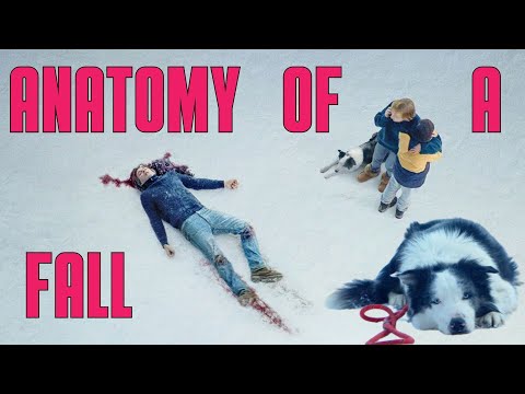 MOVIE RECAP - ANATOMY OF A FALL