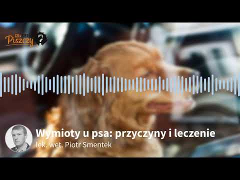 Artykuły związane z emesis znajdziesz na Co w Sierści Piszczy