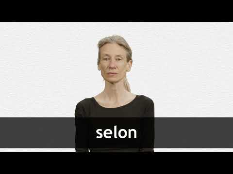 English Translation of “SELON” | Collins French-English Dictionary