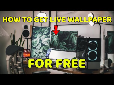 How To Get Live Wallpapers on PC for FREE