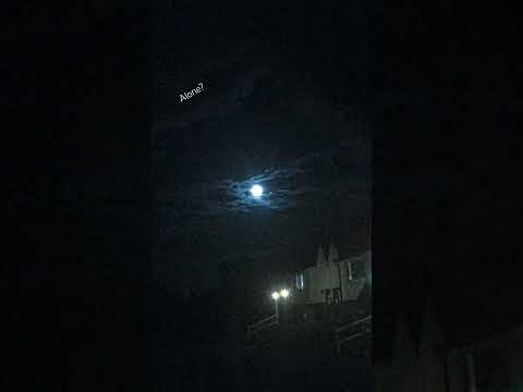 The dark #nature #photos #viral #music #trending #moon #scary