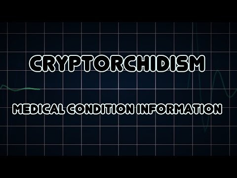 Cryptorchidism (Medical Condition)