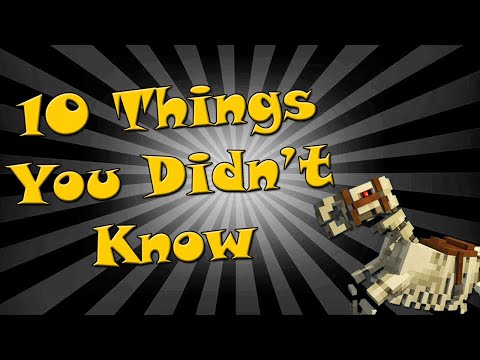10 Things you didn't know about Skeleton Horses