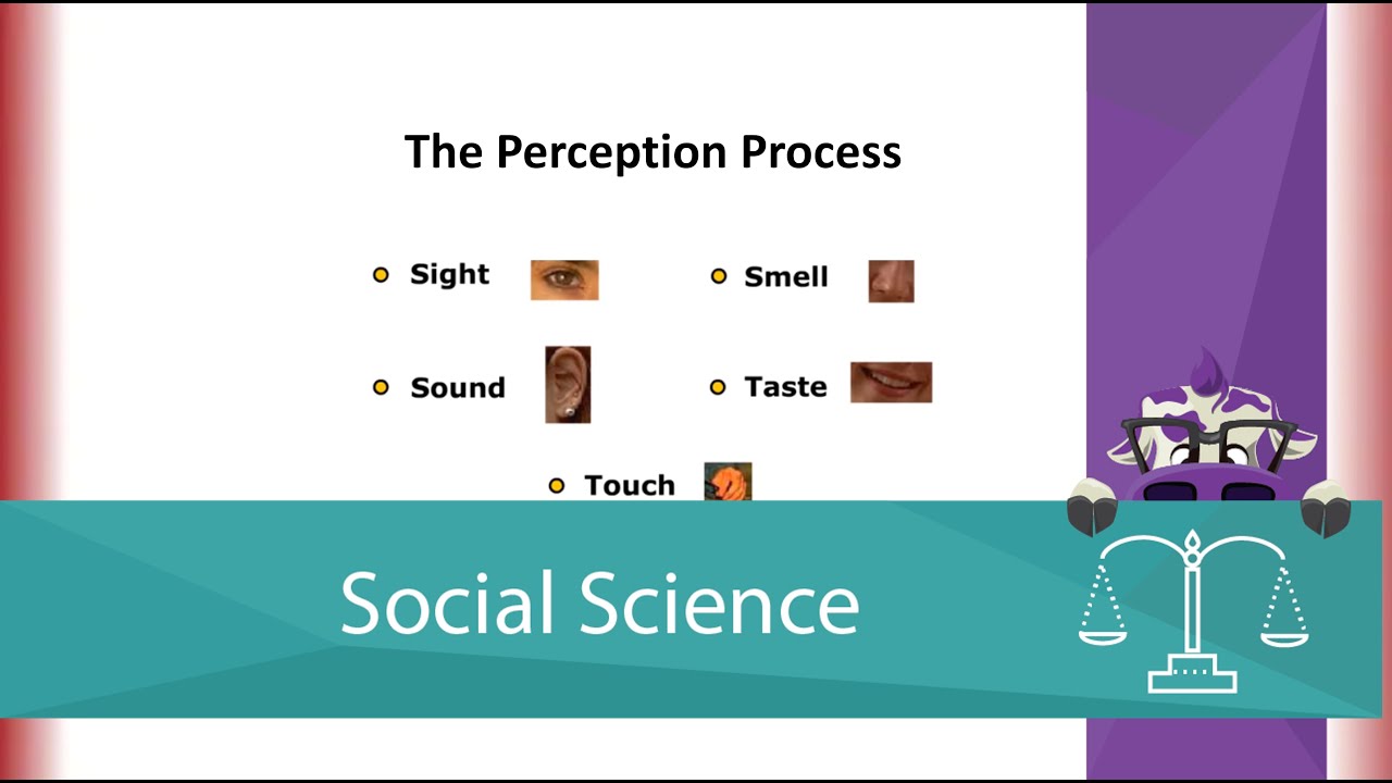 The Perception Process (Screencast)