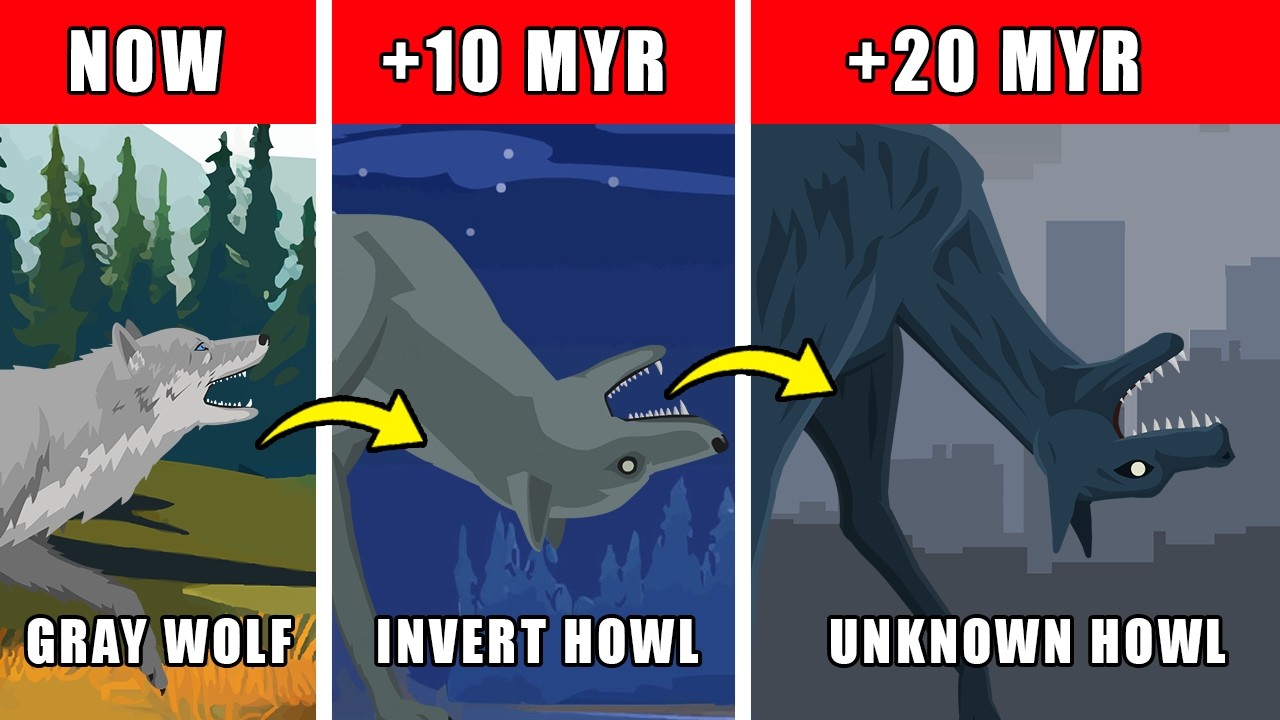 Unknown Howl Origin Evolution: How Unknown Howl Could Have Evolved