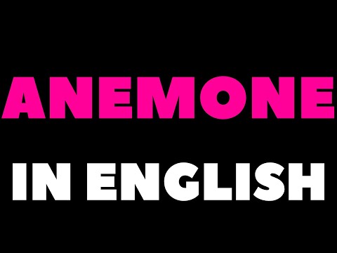 How To Pronounce Anemone in English?