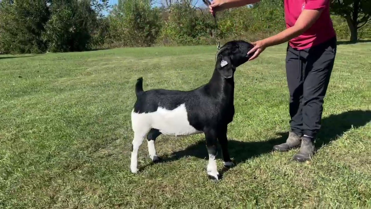 Stapleton Farms Keep A Secret