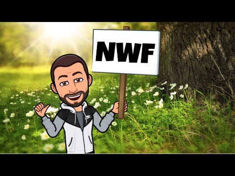 Nonsense Words Fluency | Nonsense Words to Sound Out | NWF (2)
