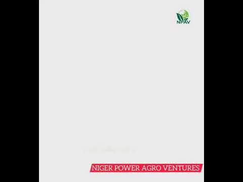 A Lucrative poultry farming system at NPAV LTD.