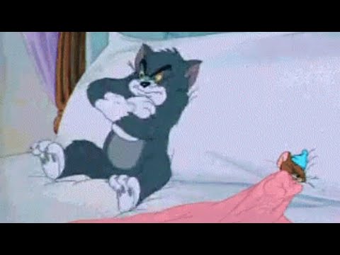 Tom and Jerry very funny GIFs...????????