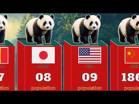 Comparison: Panda Population By Country 2024