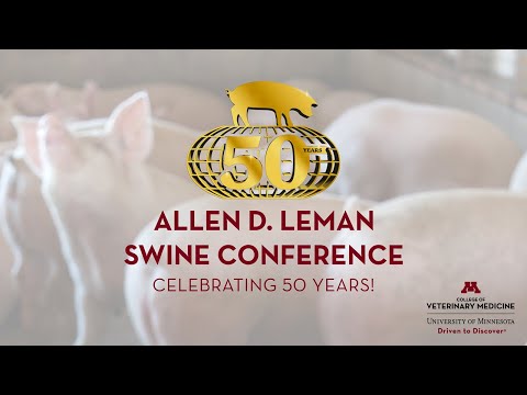 Best of Leman 2024: Jay Johnson – Heat stress in sows: Impacts and ...