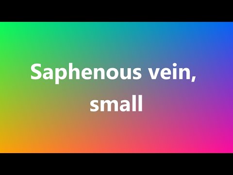Saphenous vein, small - Medical Meaning and Pronunciation
