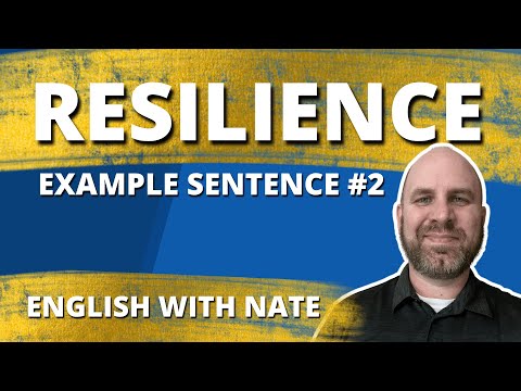 Resilience Example Sentence #2