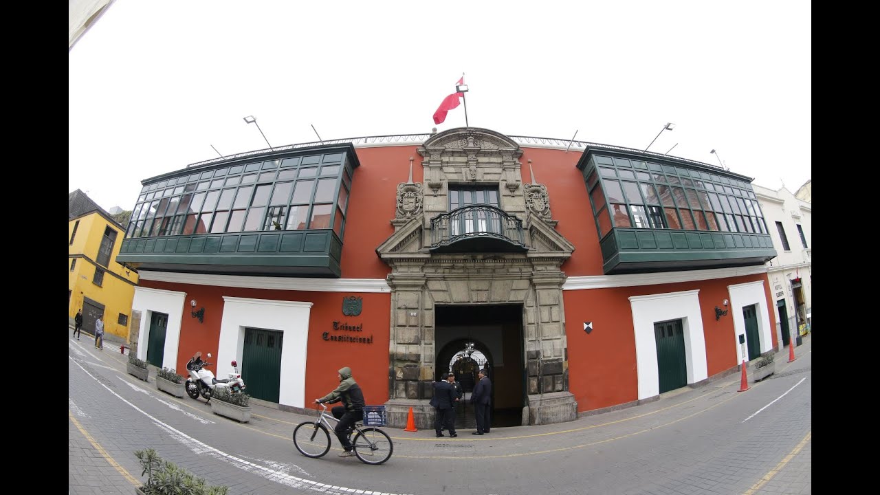 TEMPLATE FOR PROTECTION AGAINST A COURT DECISION