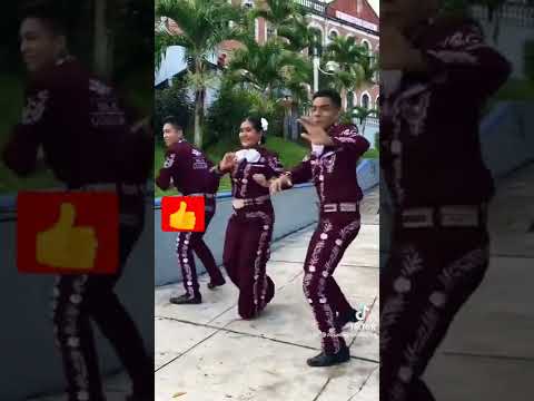 El mariachi Loco muy loco #mariachiloco