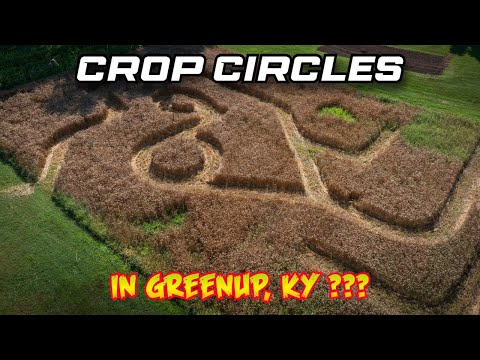Crop Circles discovered in Greenup Kentucky