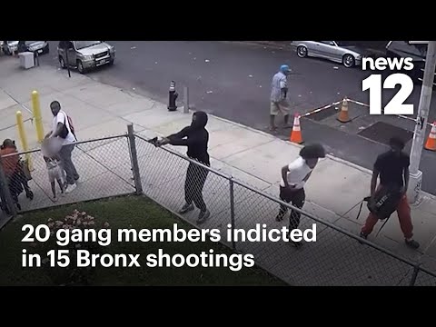 20 gang members indicted for 15 shootings in The Bronx | News 12