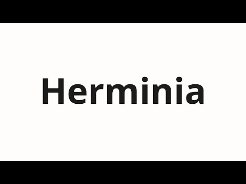 How to pronounce Herminia