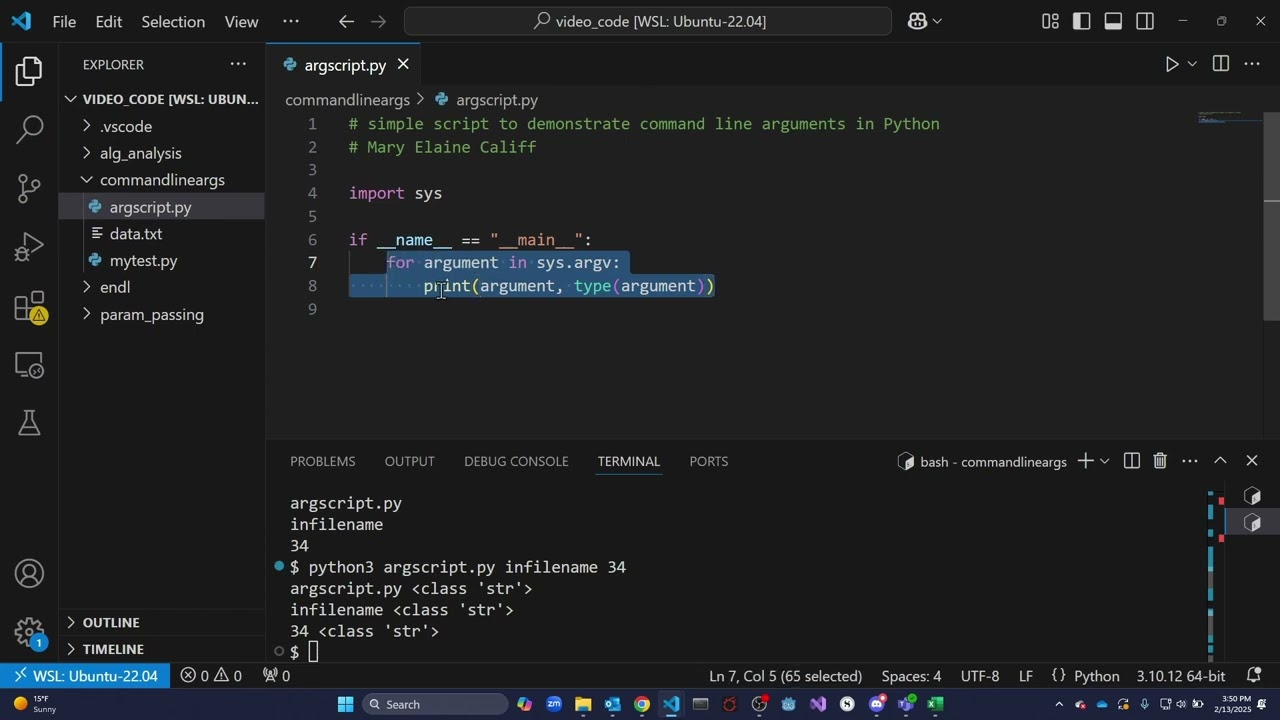 Simple Command Line Arguments in Python