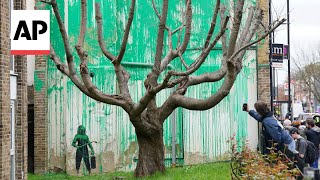 A New Banksy Mural Sprouts Beside A Cropped Tree In London | arabtimes