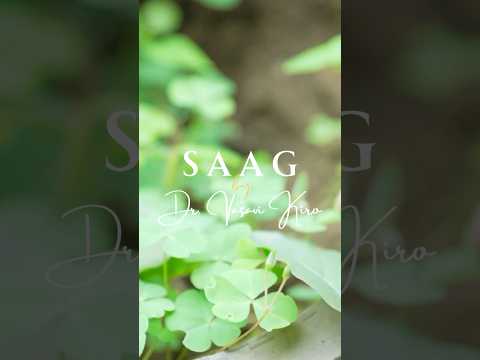 Saag☘️ Explained by Dr. Vasavi Kiro #vegan #naturelovers #recipe #saag