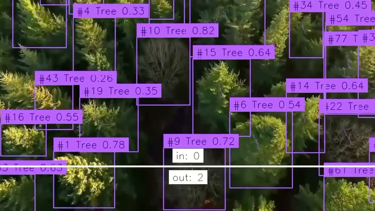 Computer Vision Based Tree Stocking for Forest Conservation