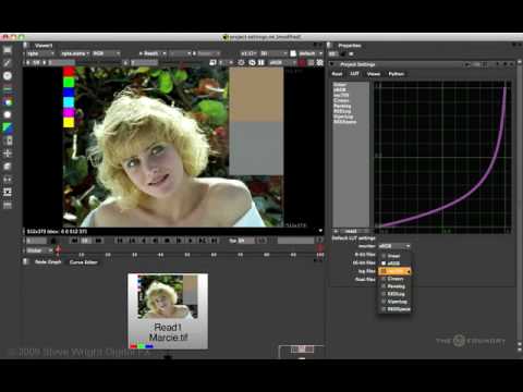 Nuke; Basic Workflows; Colour Management - Part 2 Video Lecture - Create Visual Effects with ...