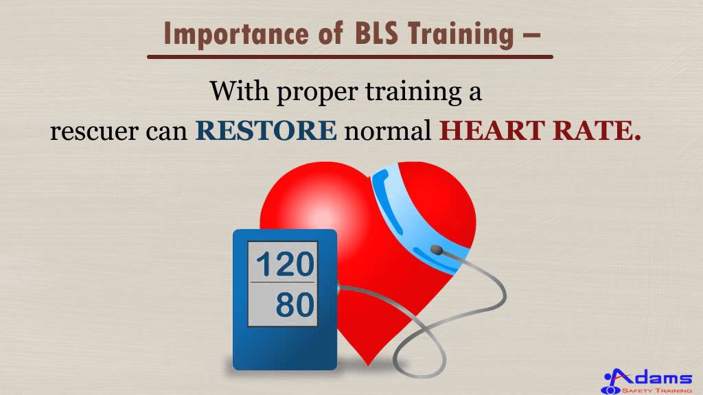 Importance of Basic Life Support