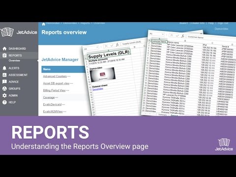 Reports - Understanding the Reports Overview page