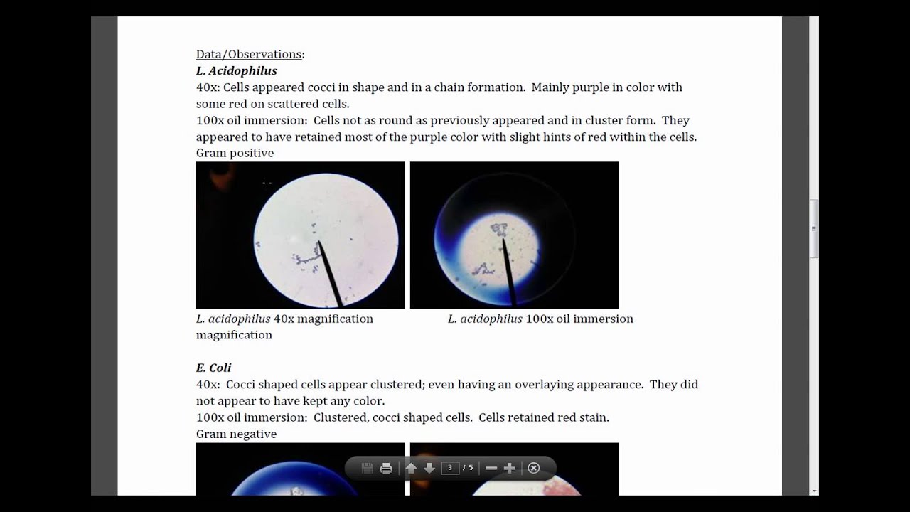 BIOL 232 Lab Directions