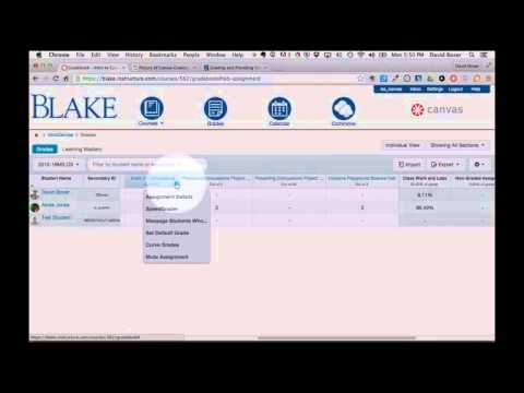 Enter and Edit a Score in the Canvas Gradebook