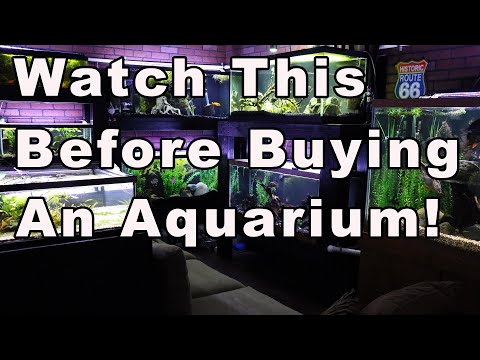 Beginners Guide to The Aquarium Hobby Part 1: What You Need to Do BEFORE You Buy a Fish Tank!