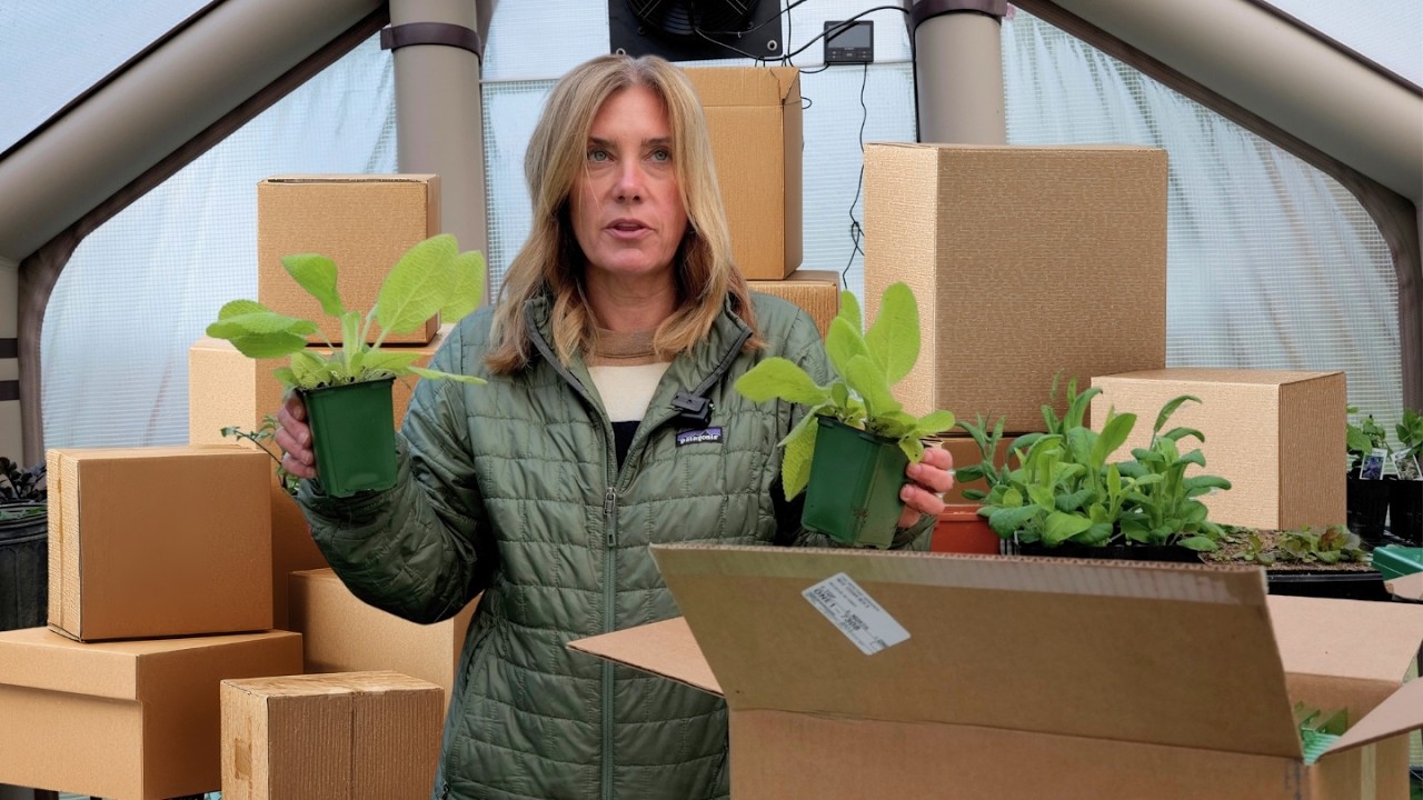 Epic plant unboxing