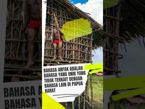 Hal Menarik Tentang Suku Arfak di Papua Indonesia timur