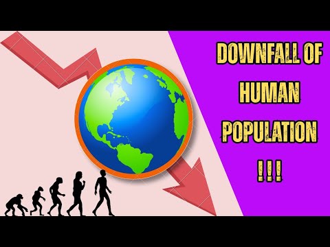 Birth Rates Are Plummeting – What Happens Next?"